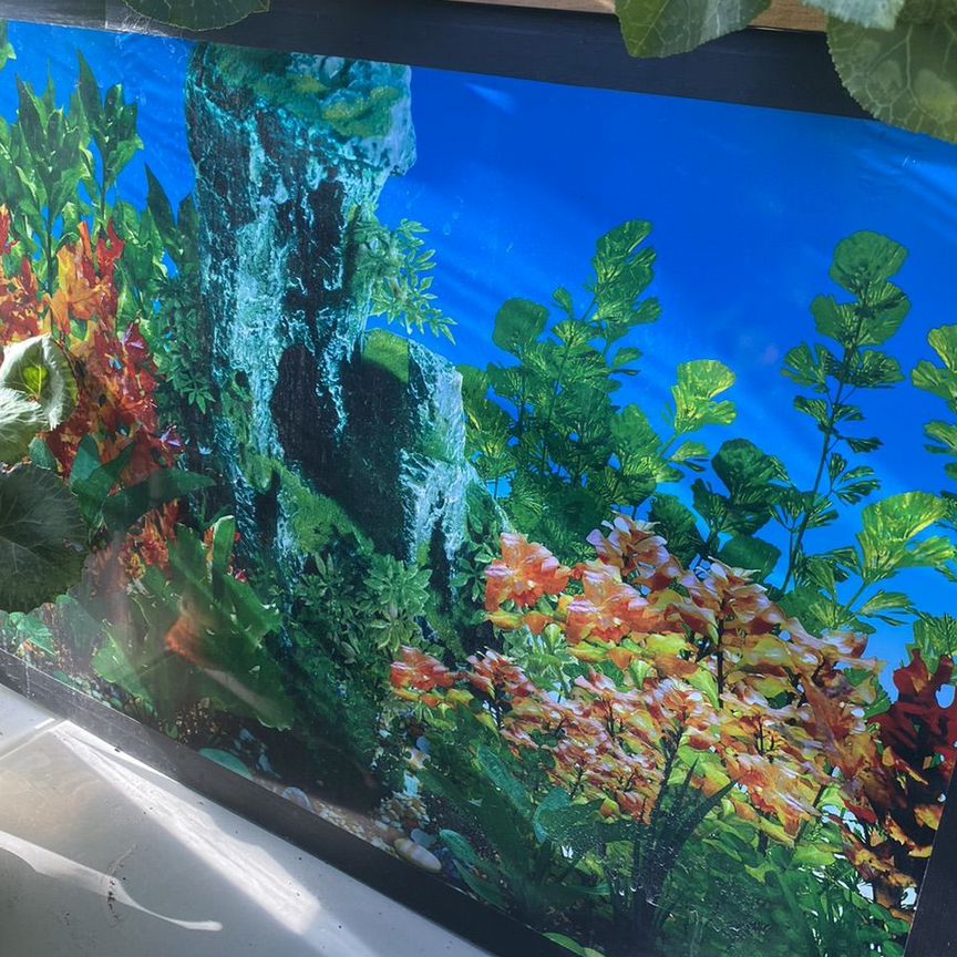 Аквариум и комплектующие