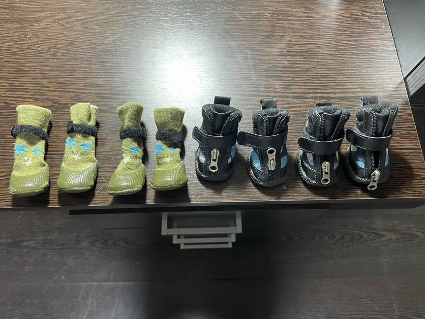 Обувь доя собак