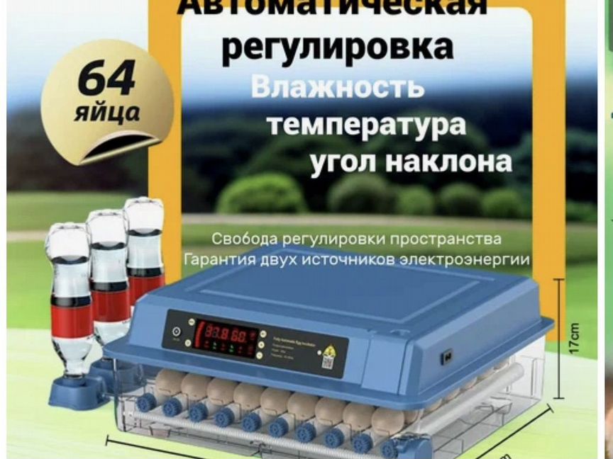 Инкубатор для яиц автоматический бу ряба 64