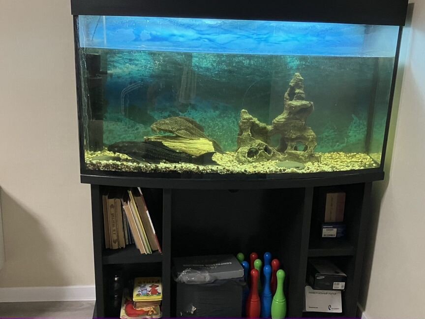 Продам тумбу аквариум 200литров