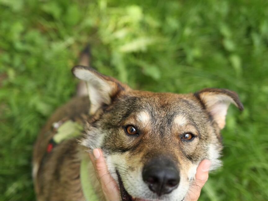 Челси мечтает о своей семье