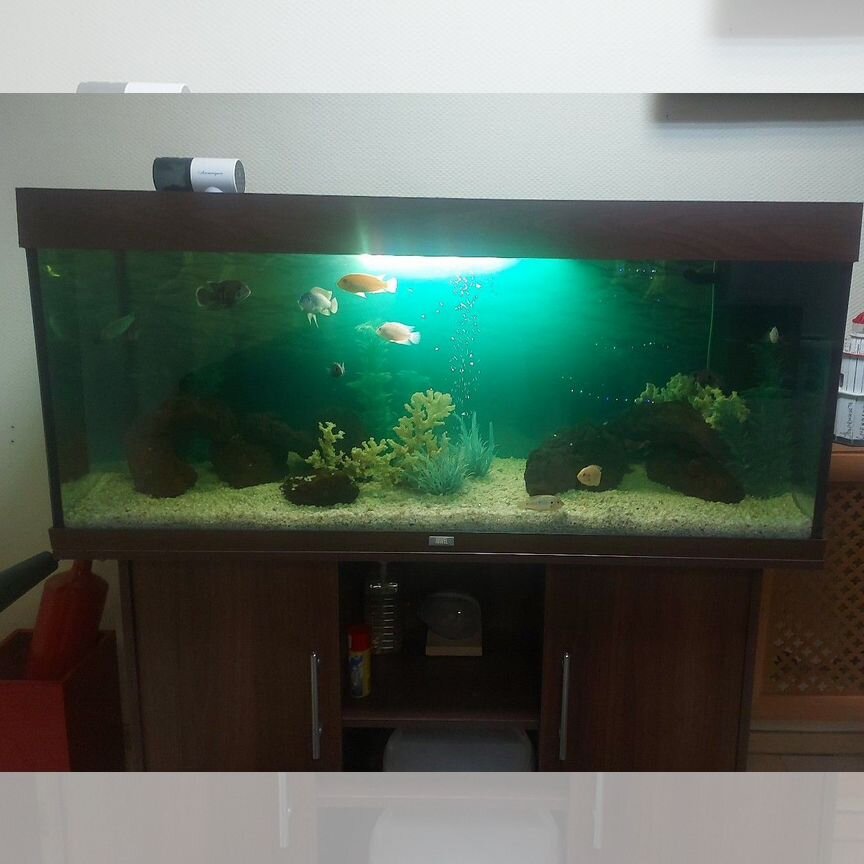 Аквариум с тумбой 240л