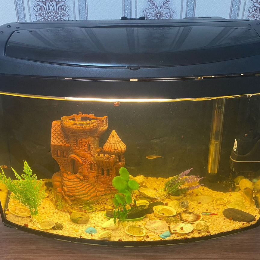 Аквариум с рыбками