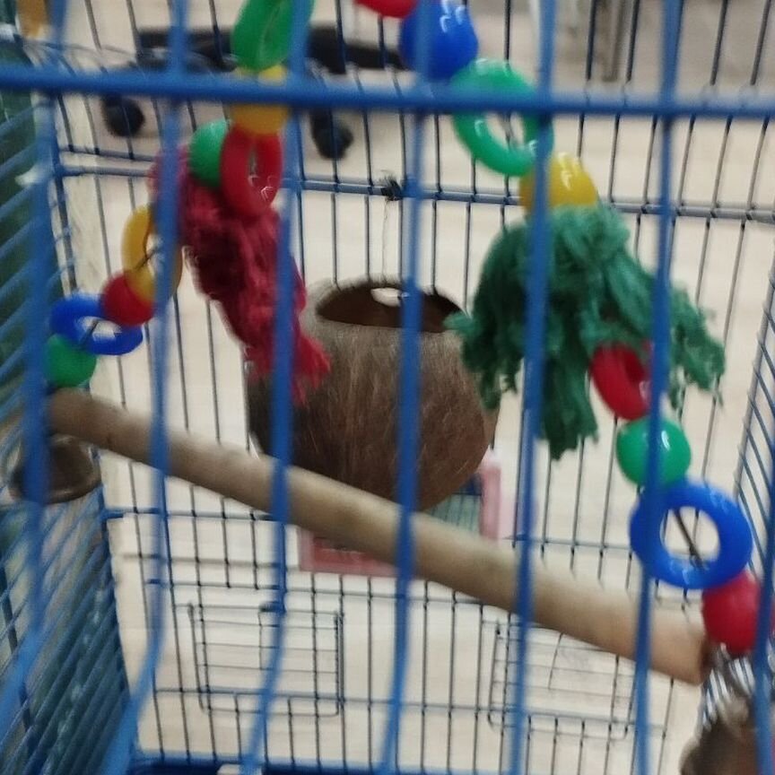 Клетка для попугая