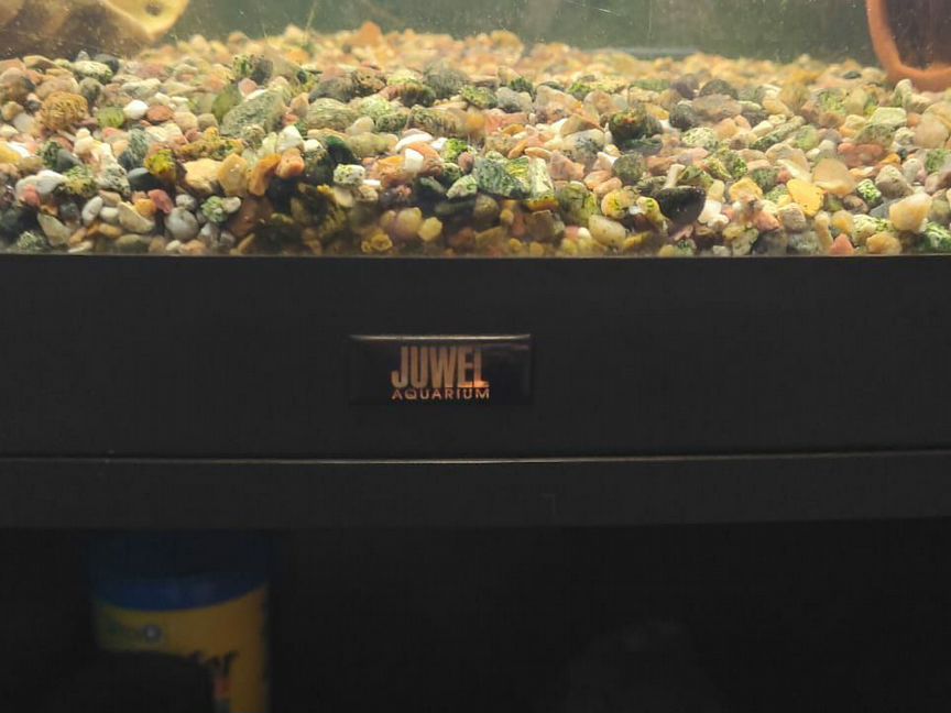 Аквариум Juwel vision 260