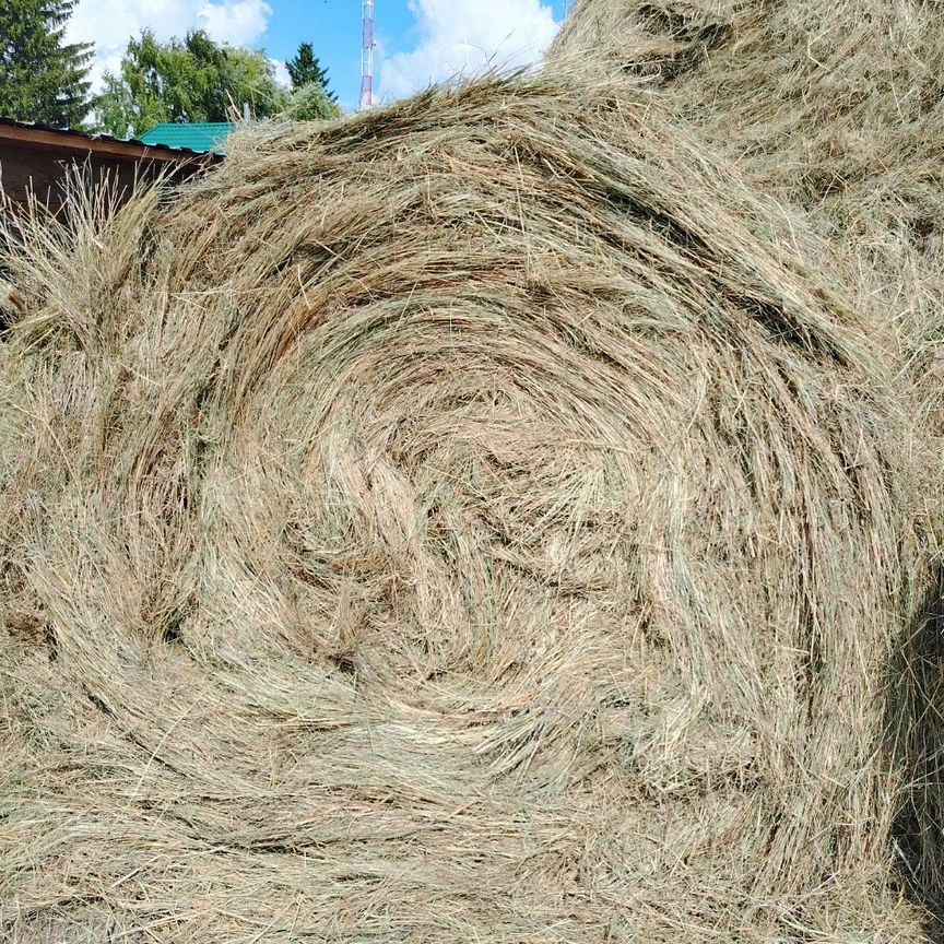 Продам сено в тюках