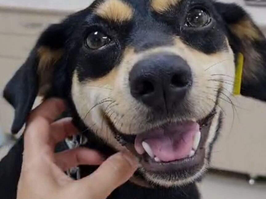 Буся- Бусинка