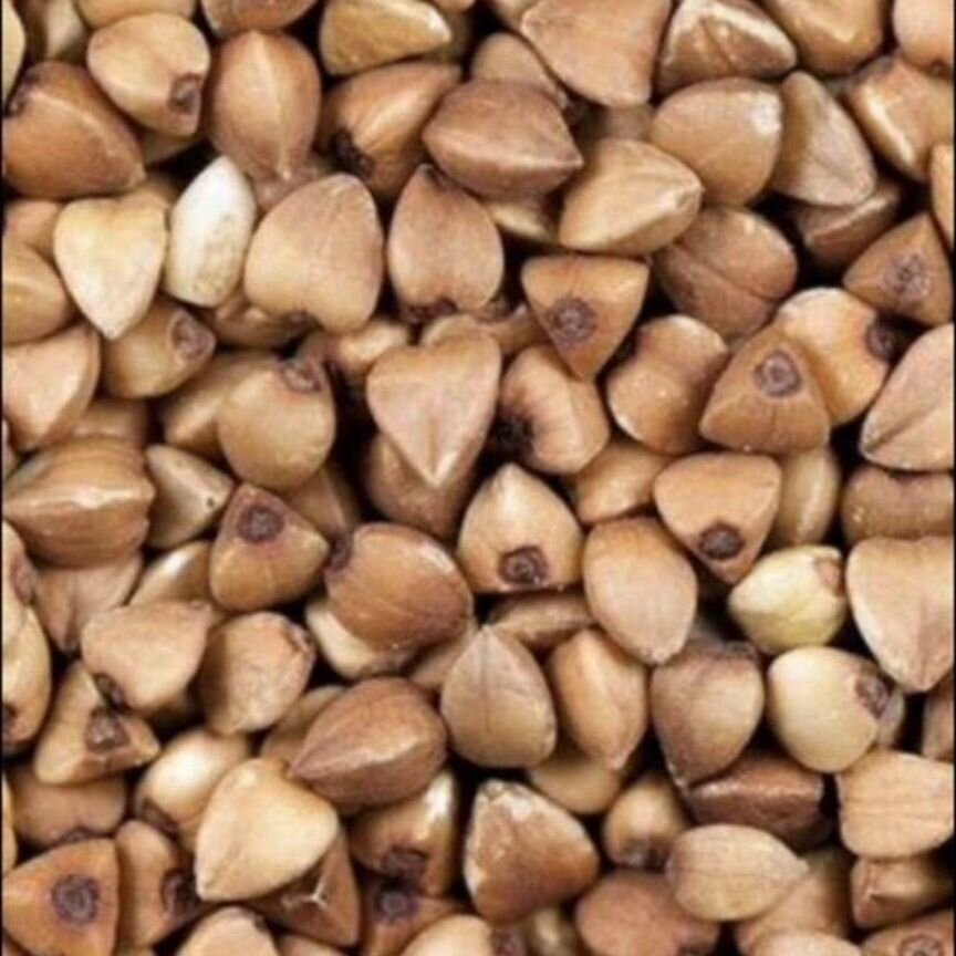 Продам гречку