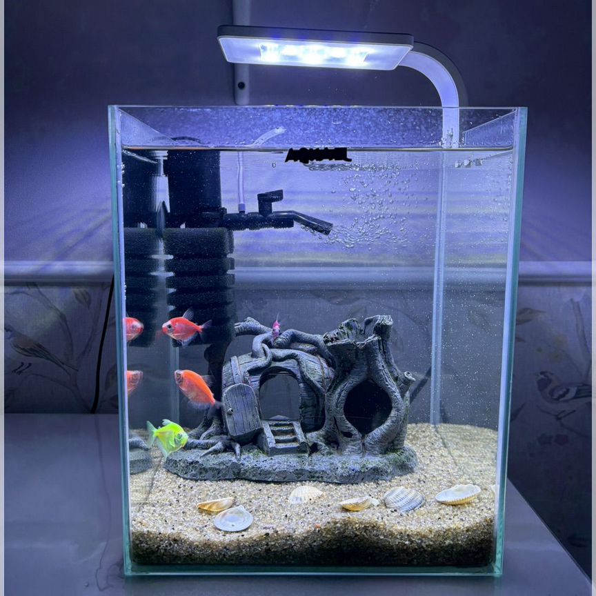 Аквариум с рыбками 19 литров