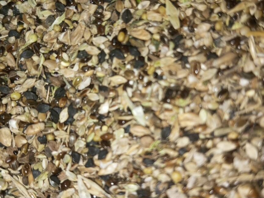 Зерноотходы