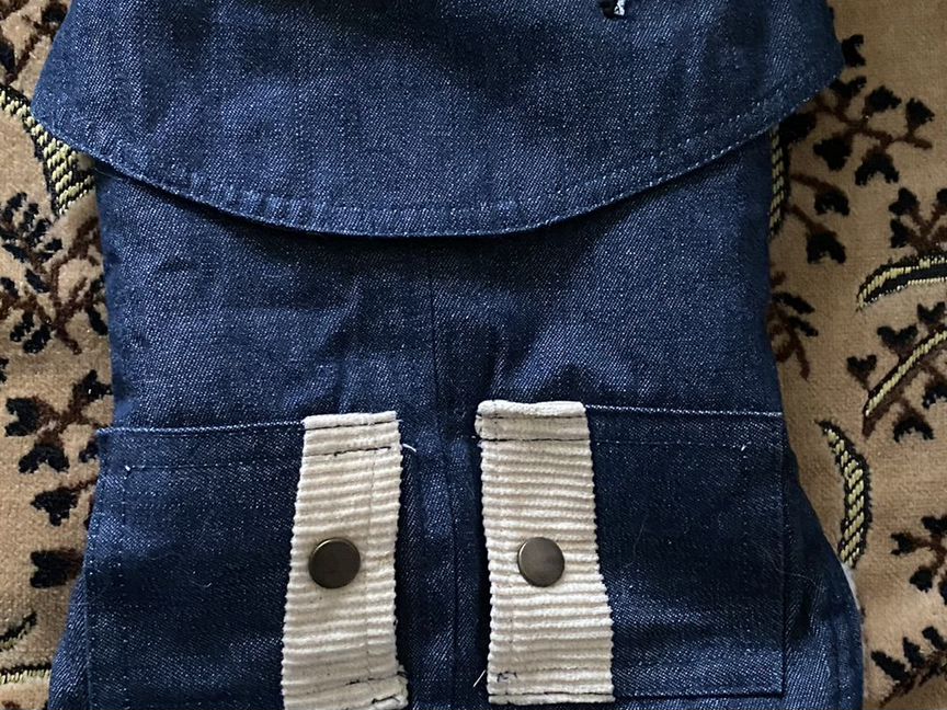 Одежда для маленьких пород собак