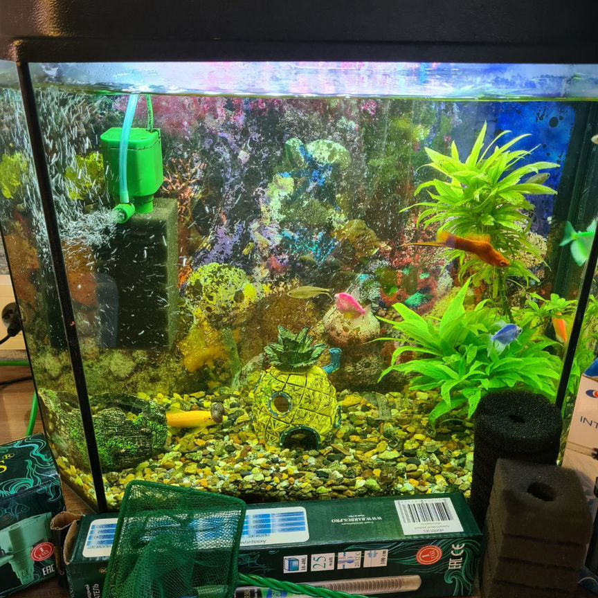 Аквариум с рыбками