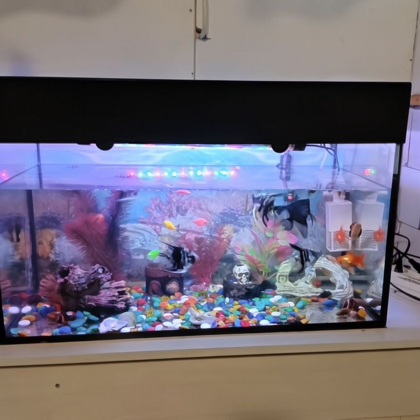 Аквариум с рыбками