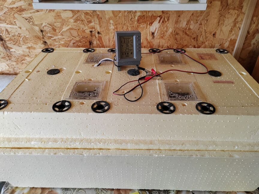 Инкубатор для яиц автоматический