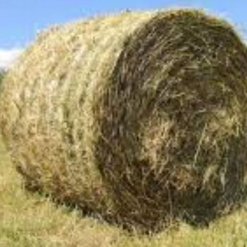 Сено солома в тюках