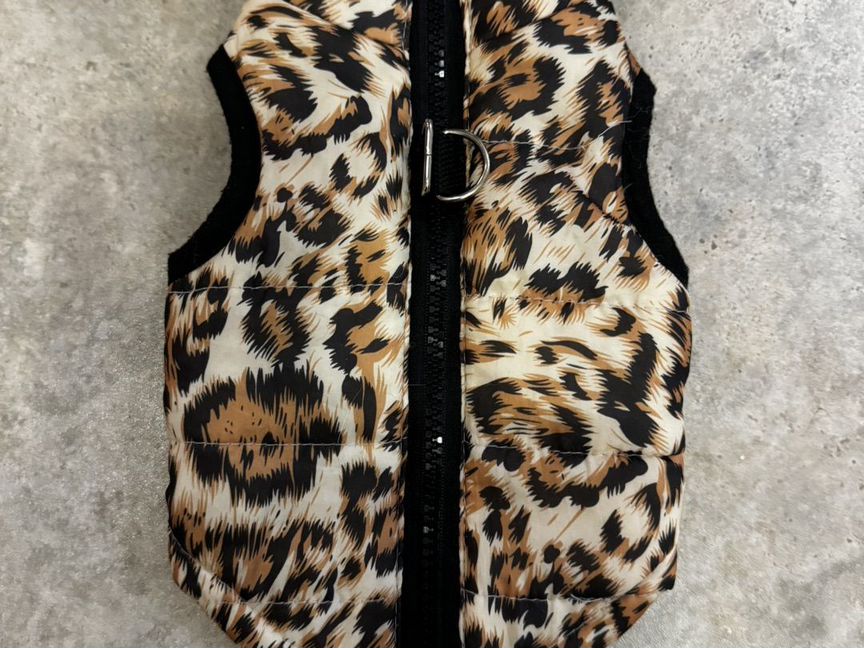 Теплая одежда для собак мелких пород