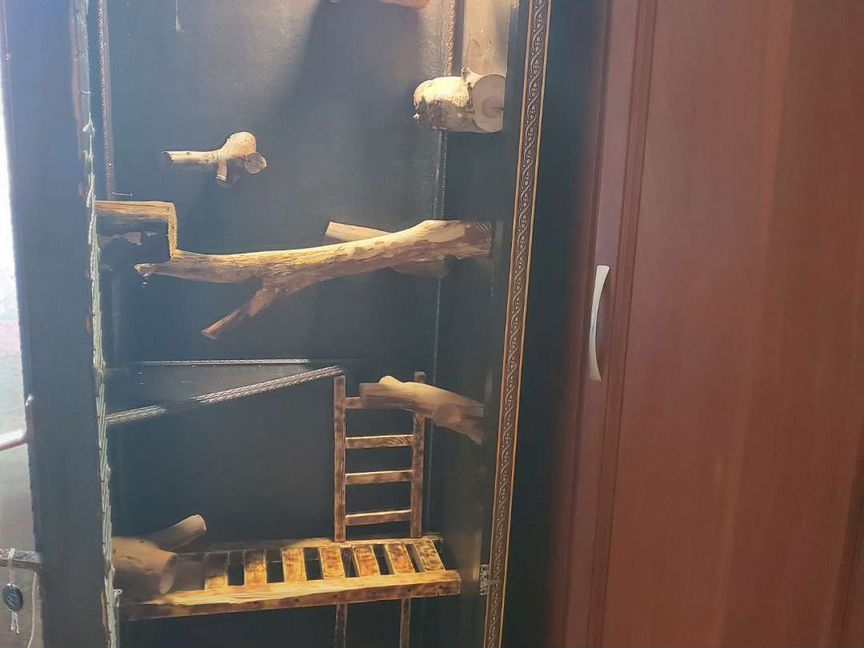 Клетка для грызунов бу