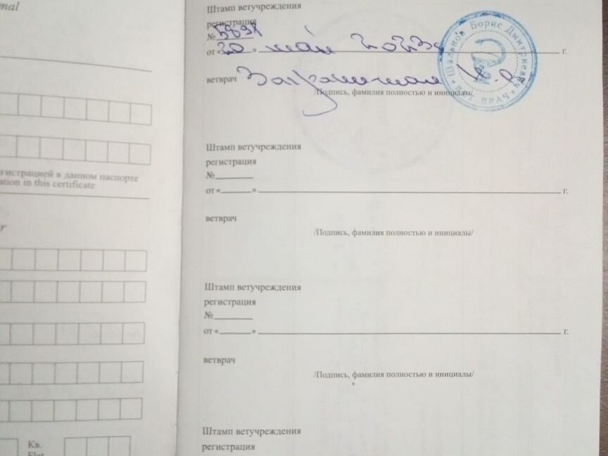 Собаки щенки