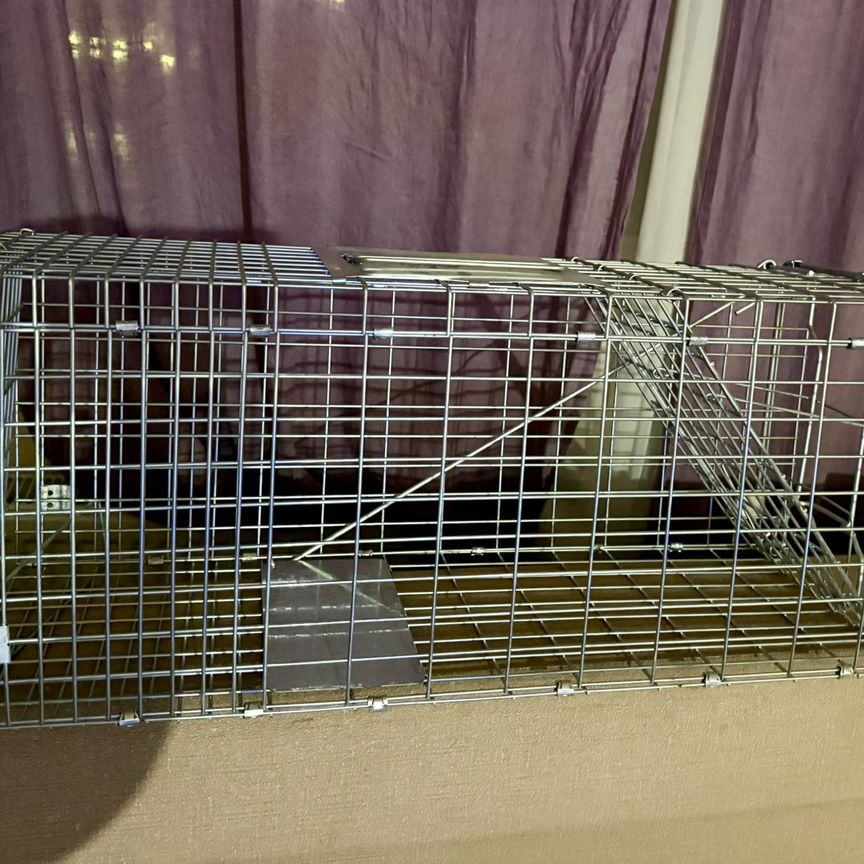 Кошколовка продажа