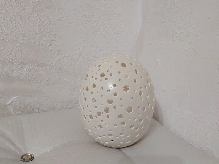 Страусиное яйцо