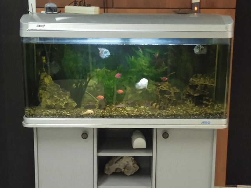 Аквариум с тумбой бу