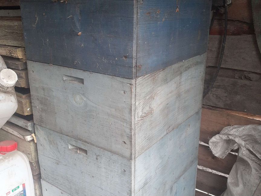 Улья рутовские