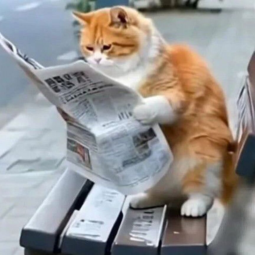 Продам броинротов