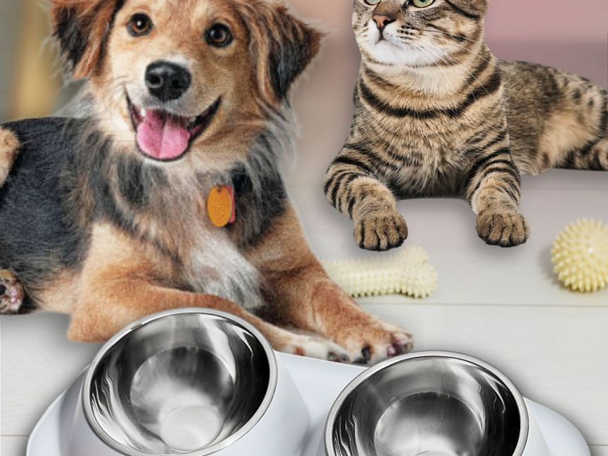 Миска для кошек и собак