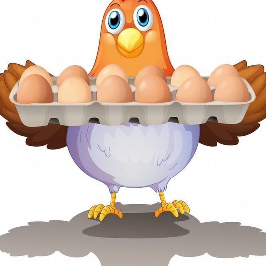 Инкубационное яйцо кур