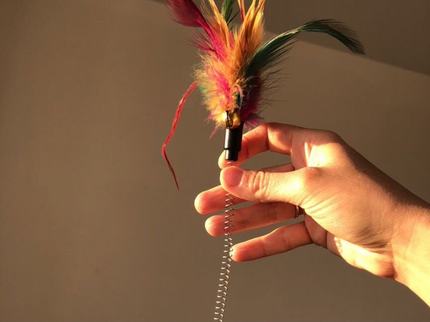 Дразнилка для кошки