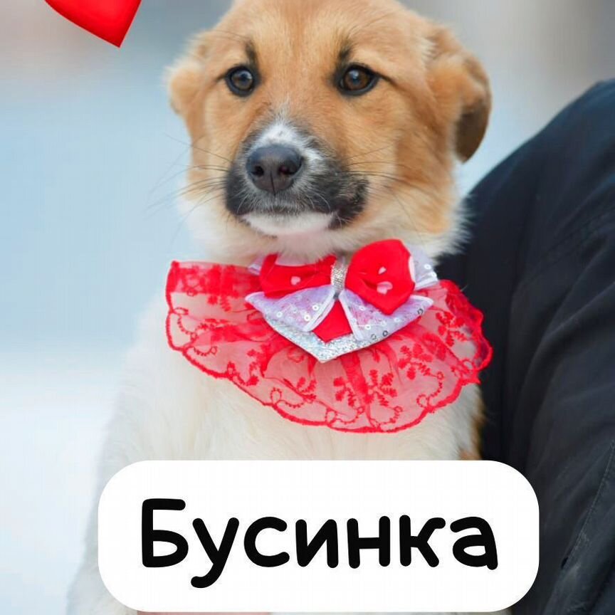 Хочу в любящую семью