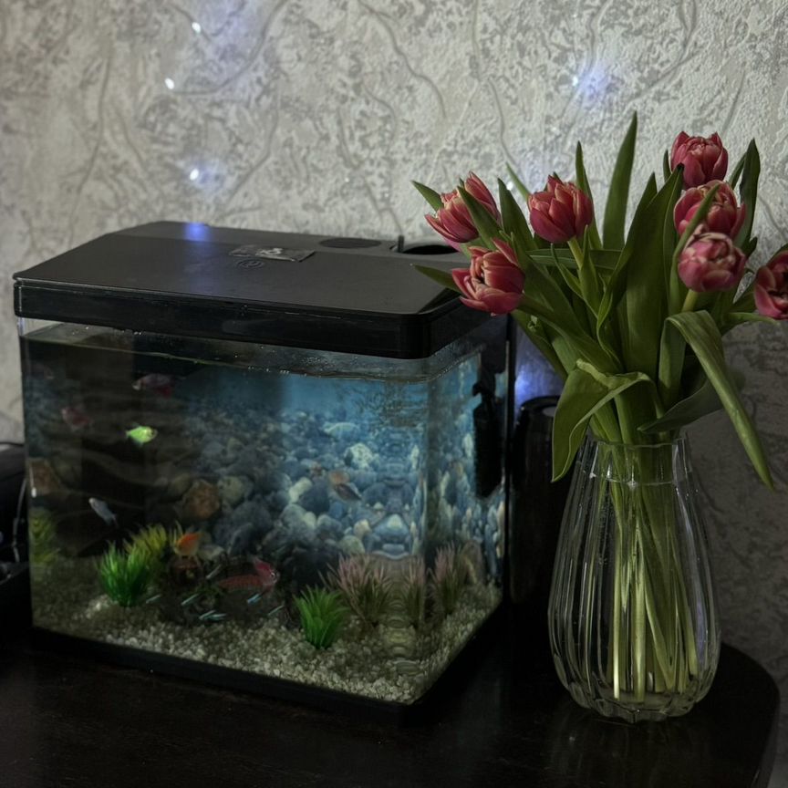 Аквариумы 15 литров Prime и Гесса 20 литров
