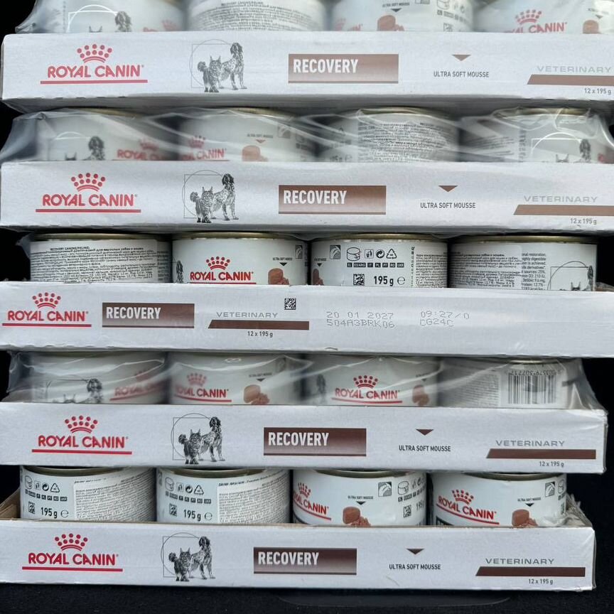 Корм для кошек собак royal canin recovery