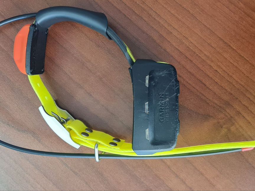 Ошейник garmin t5 европа