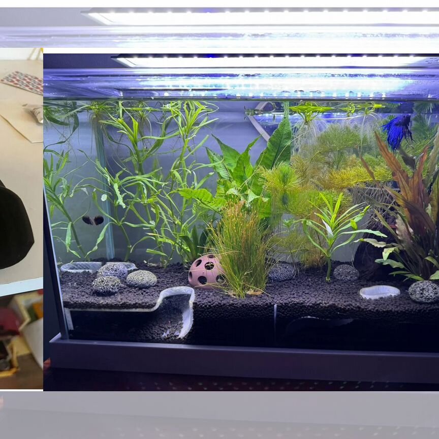 Подземные пещеры с наблюдением. Декор укрытие