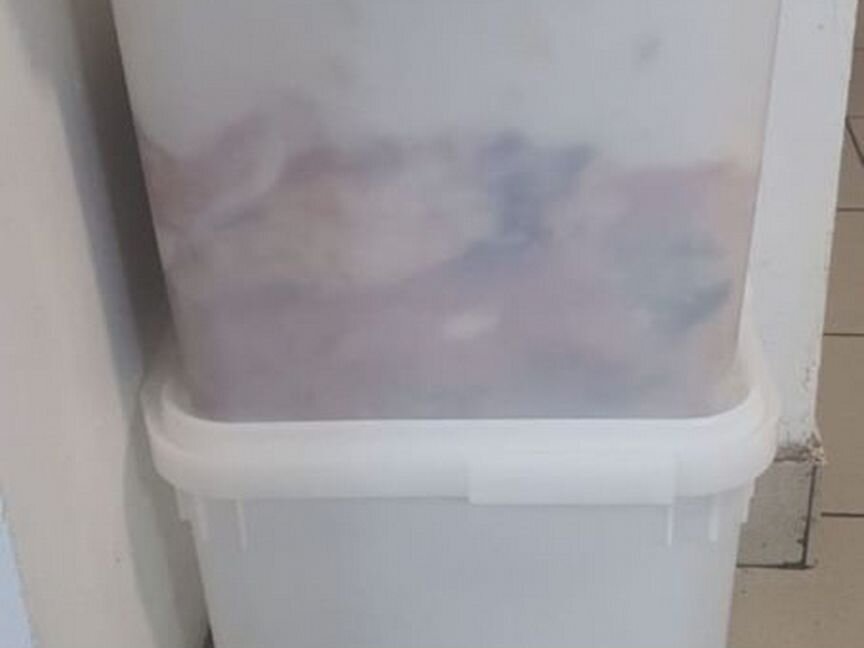 Пищевые отходы с кухни на корм животным