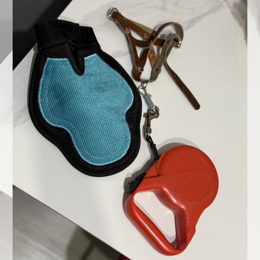 Шлейка, поводок-рулетка, варешка