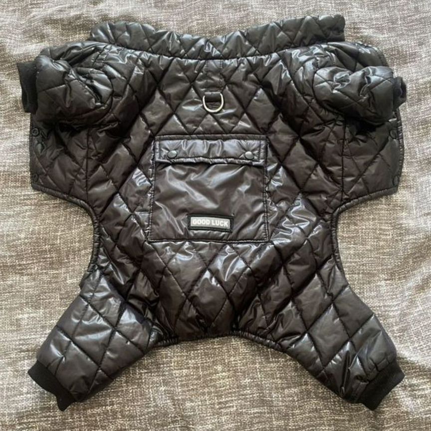 Одежда для собак средних