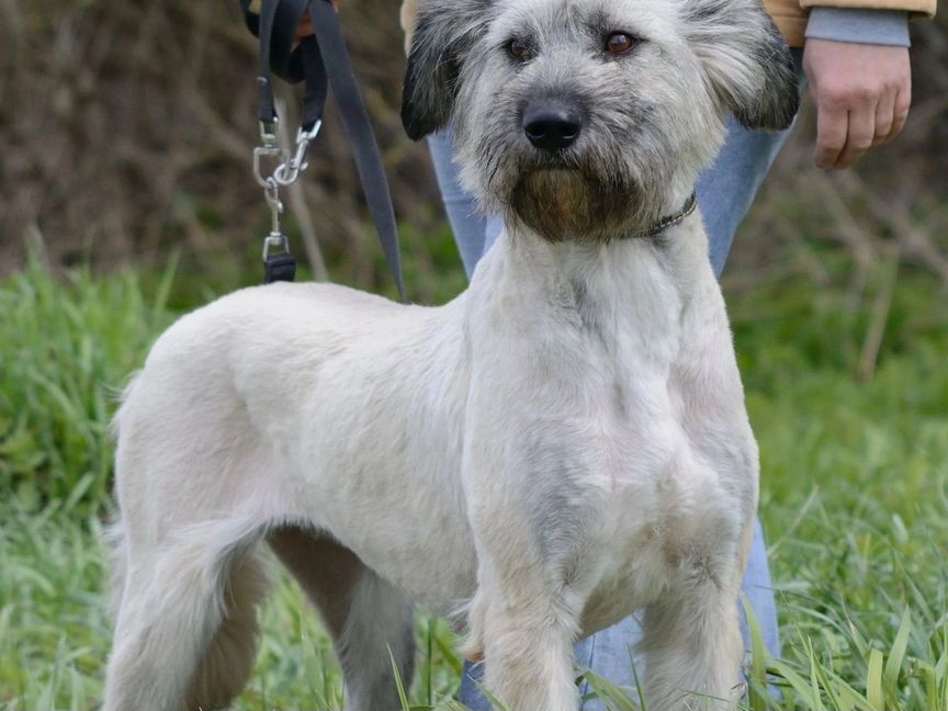 Адель ищет семью