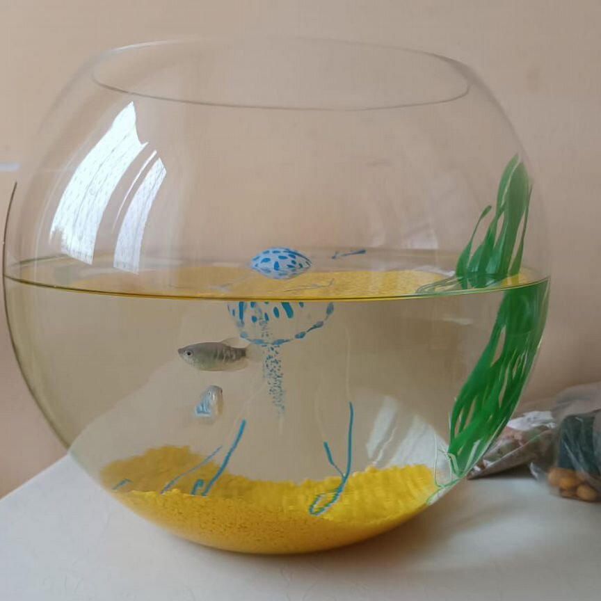 Аквариум с рыбками