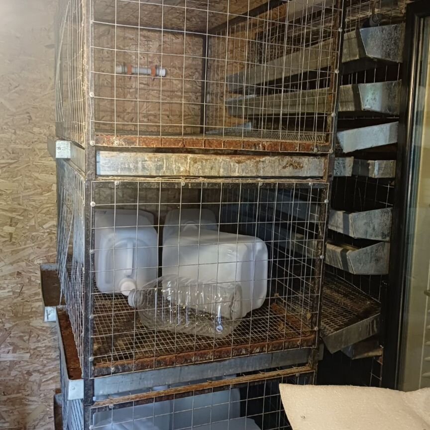 Клетка для бройлеров и несушек