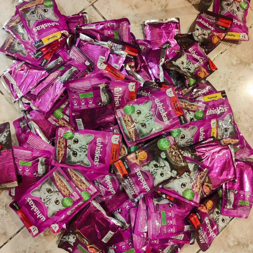 Влажный корм whiskas 100 штук