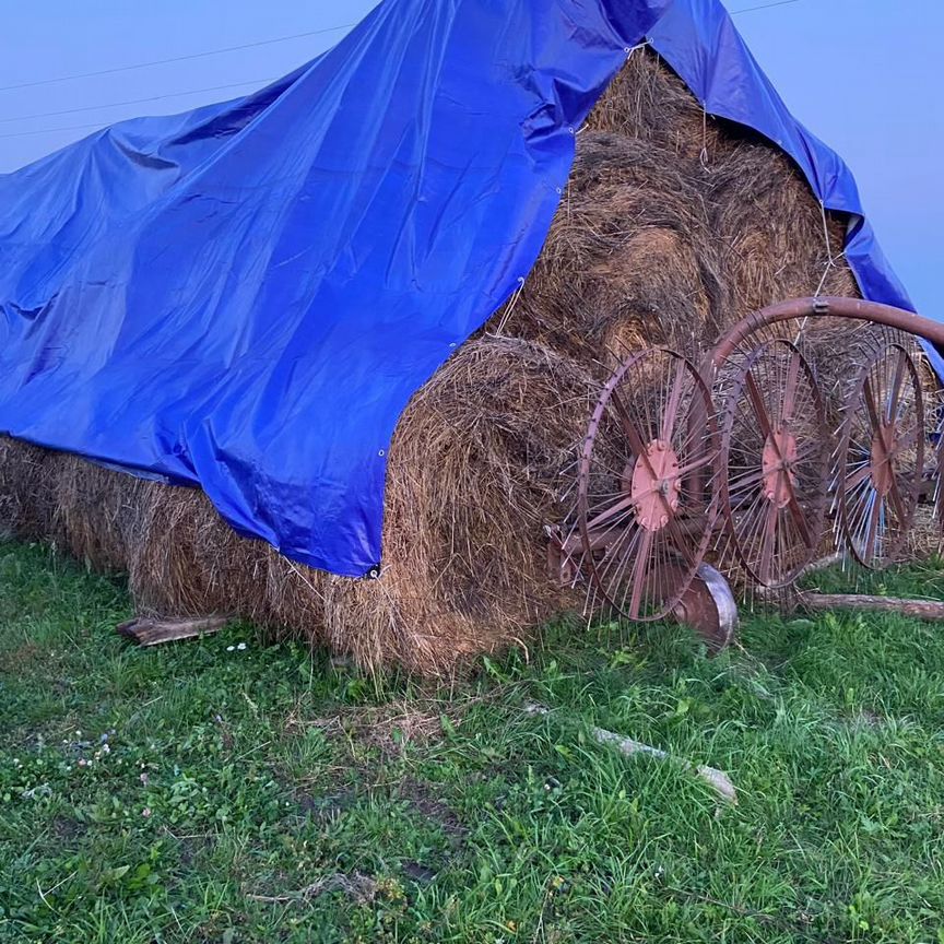 Продам сено в рулонах