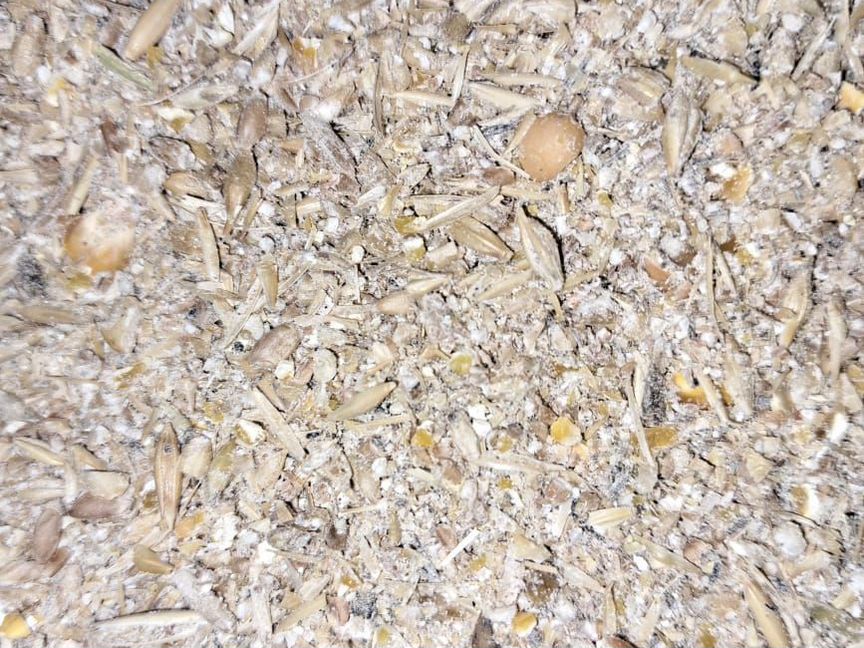 Корма для сельскохозяйственных животных