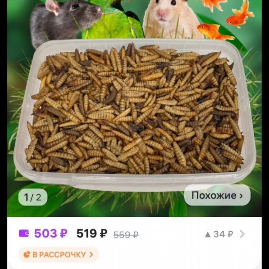 Корм для грызунов