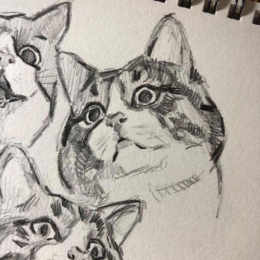 Рисую ваших питомцев