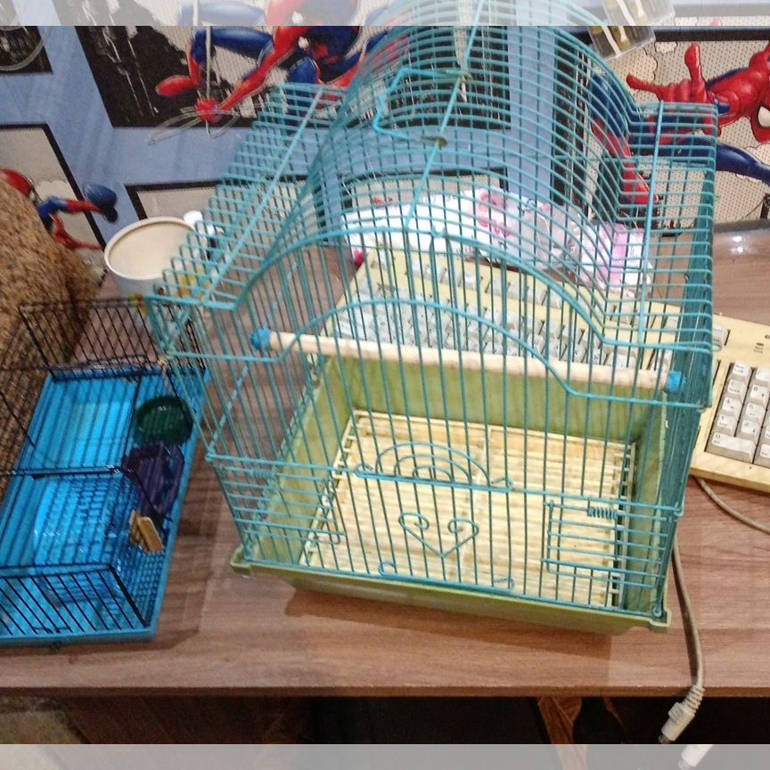 Клетка для Попугая