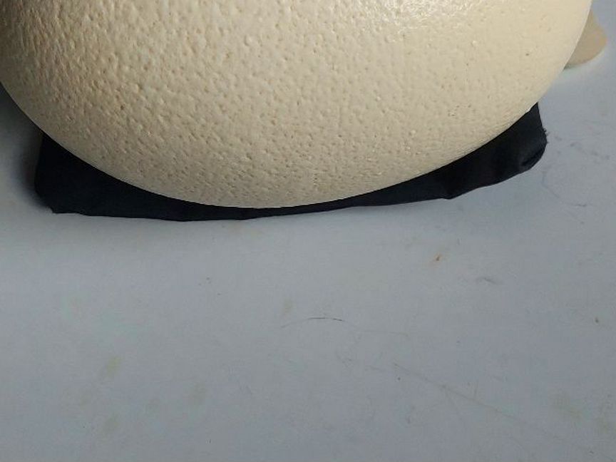 Страусиное яйцо