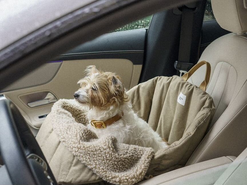 Авто кресло для собак, цвет хакки