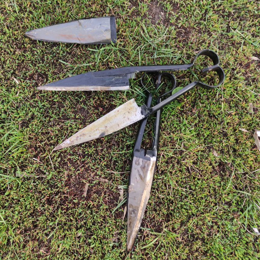 Ножницы для стрижки овец